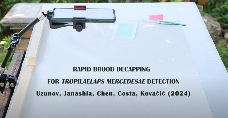 Tropilaelaps - partnership among a group of bee experts involved in ...